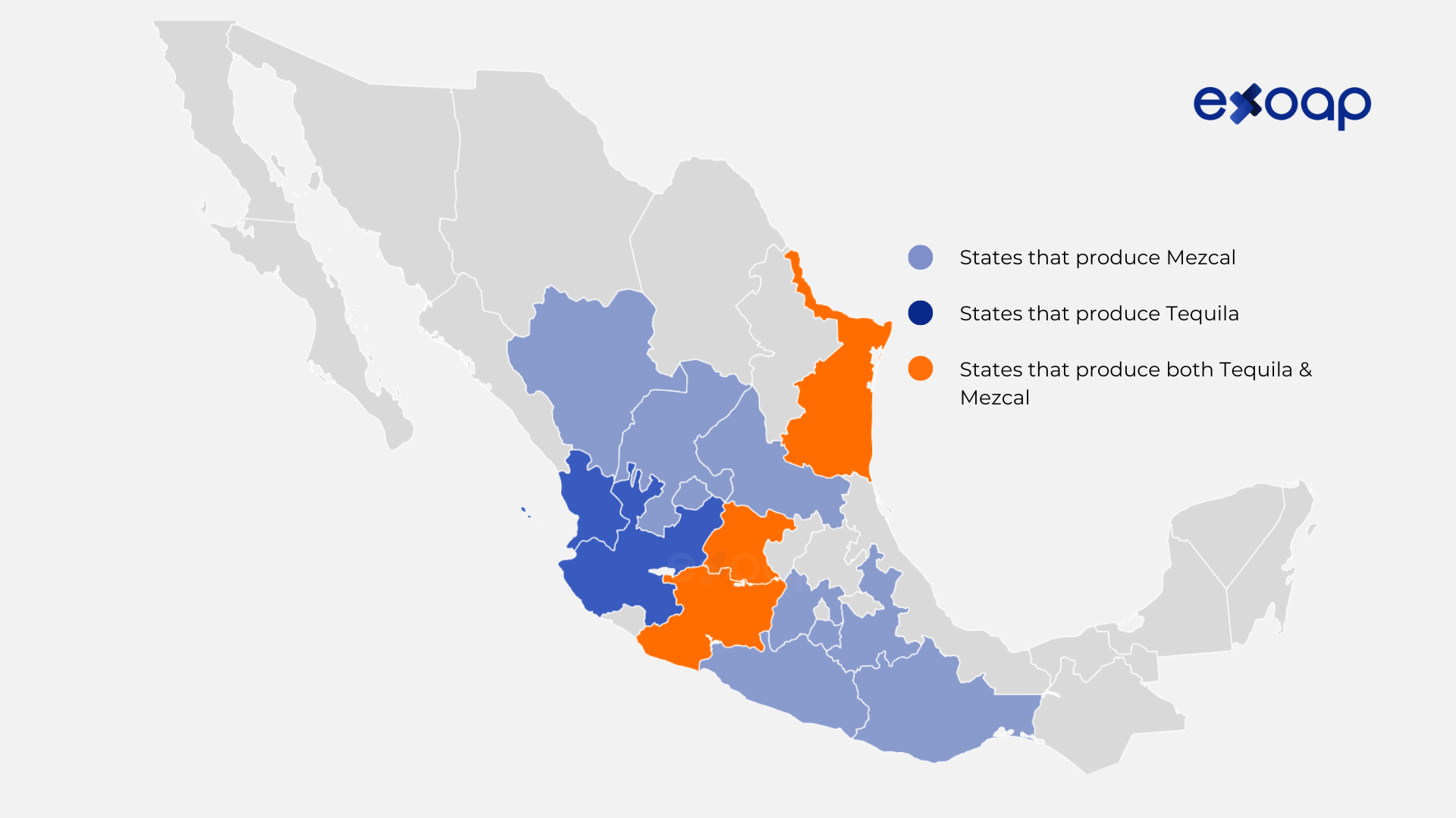 How to create a Mezcal Brand